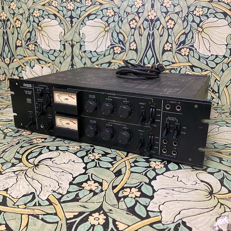 Roland RSS RV-800 Stereo Reverb | Reverb