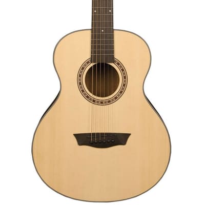 Washburn Washburn 10SBK Rover Travel Series Acoustic Guitar. | Reverb