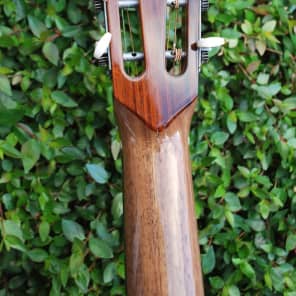 Shelley D. Park Guitars Fallen Vega Cylinder Guitar 2015 | Reverb