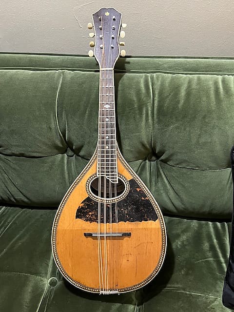 Early 1900's Larson Brothers built Mandolin | Reverb