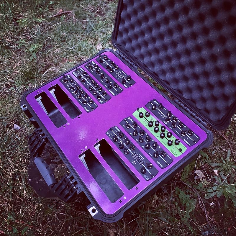 Burns Omega Model 12 Slot Case, Translucent Purple | Reverb UK