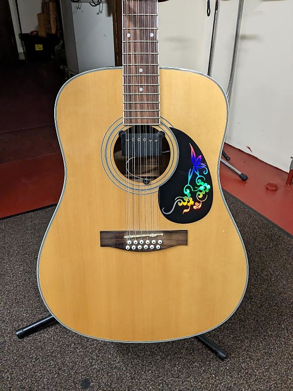 J.B. Player 12 String Guitar w/Padded Hard Shell Case | Reverb