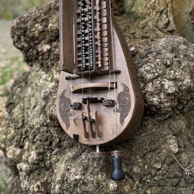 Hurdy-Gurdy With Pickup - 24 Keys - 6 string - | Reverb Deutschland