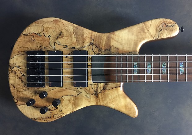 Spector NS5H2 Wide String Spacing 2015 Spalted Maple | Reverb