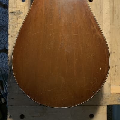 1920s Regal “Octofone” Octave Mandolin / Mandola | Reverb