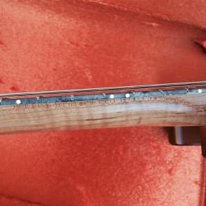 John Bolin Custom Guitars "Stoner" Tele 2014 | Reverb