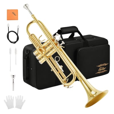 D. Calicchio L 1s ML goldplated trumpet, original case ! | Reverb