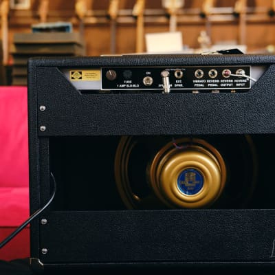 "Tremendous Reverb" 1x12 Combo by P2P Amplifiers - Princeton | Reverb