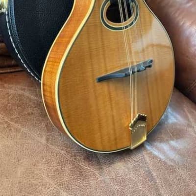 Beard Celtic Mandolin | Reverb