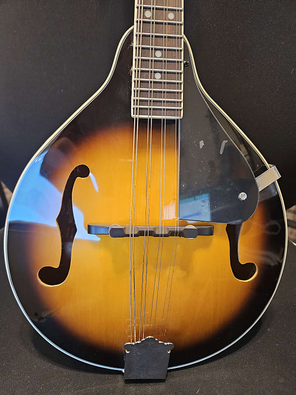 Rogue Mandolin 2023 - Burst | Reverb