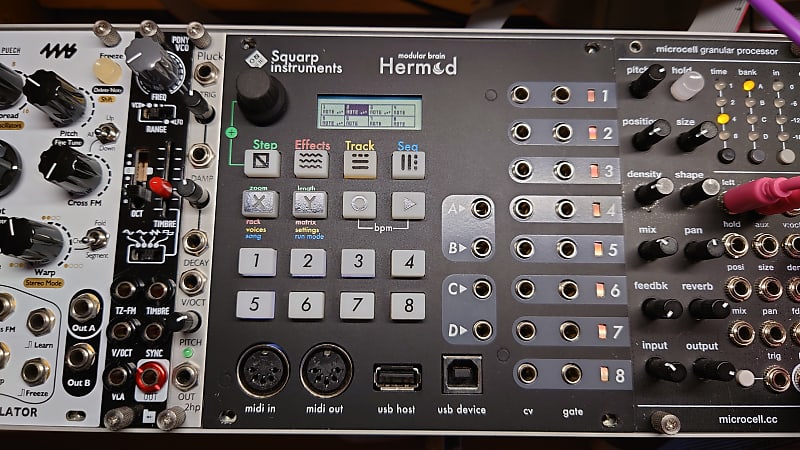 Squarp Hermod V1 - black | Reverb