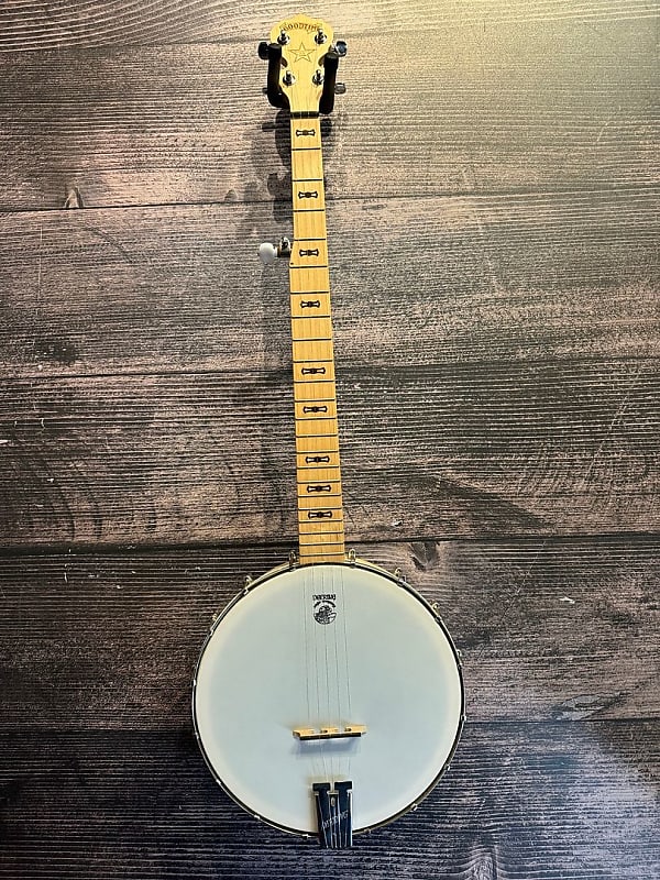 Deering Goodtimes 5 String Banjo (Dallas, TX) | Reverb