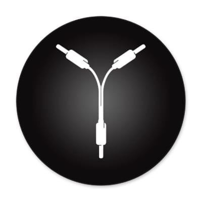 Stagg Y Cable, Mini Jack/RCA (m/m), 3 m (10') | Reverb