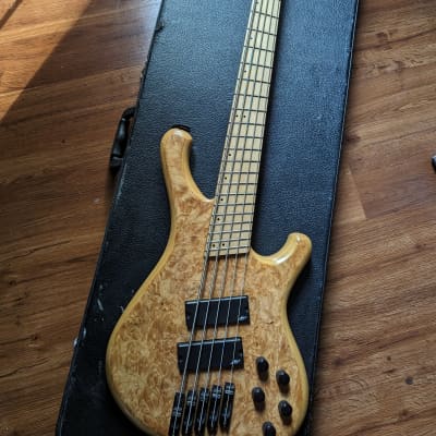 Legator Helio 300 PRO 5 String Bass | Reverb