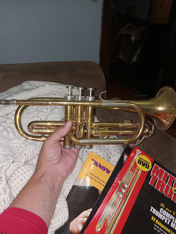 Feeling Horns? Trumpet packet | Reverb