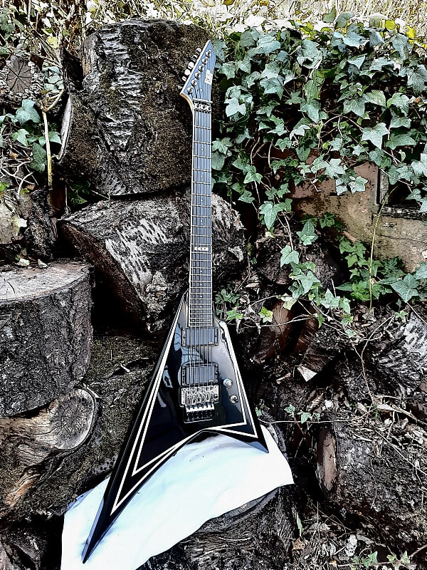 ESP V Standard | Reverb