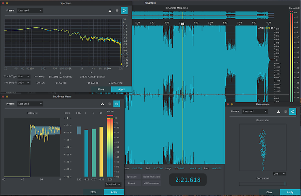 2nd SENSE ReSample - Audio Editing Software (Download) | Reverb