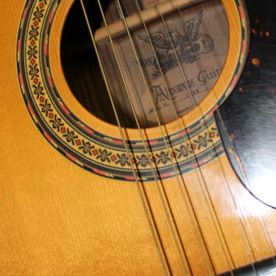 Alvarez 5043 1977 3 Piece Back | Reverb