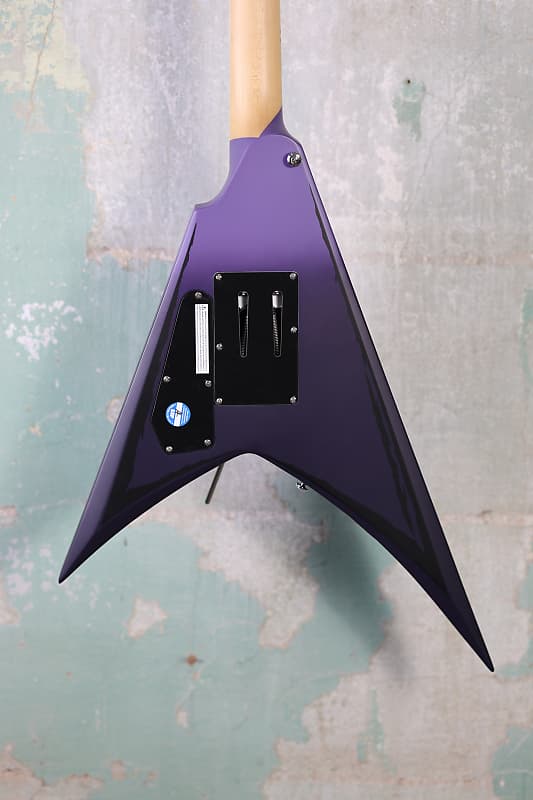 ESP LTD Alexi Ripped Electric Guitar with Case - Purple Fade | Reverb