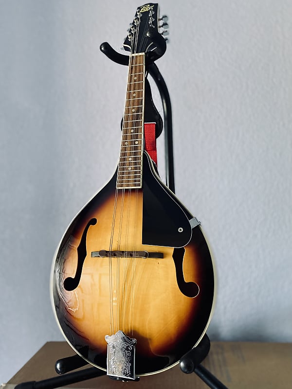 Rogue RM-100A A-Style Mandolin Sunburst Sunburst | Reverb