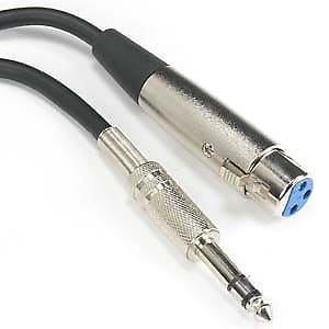 EXO Cable 3 Foot XLR to 1/4 Inch Connector Cable | Reverb
