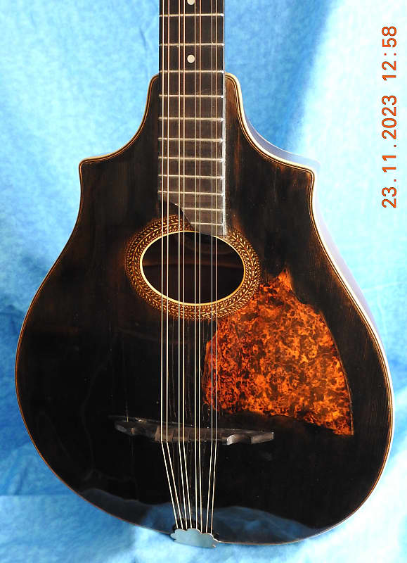 Vega 402 Cylinder Back Lute Mandocello, 1914 w/HSC | Reverb