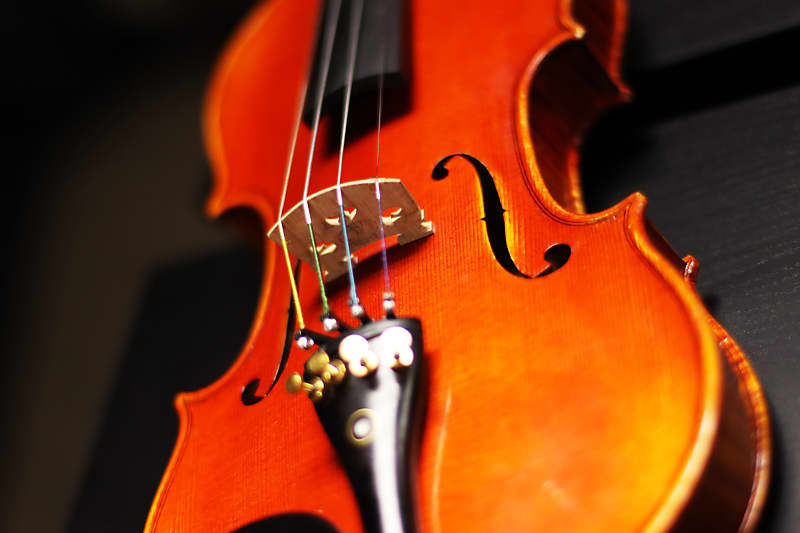 Plum Grove Music 1/2 Violin - The Scarlet | Reverb
