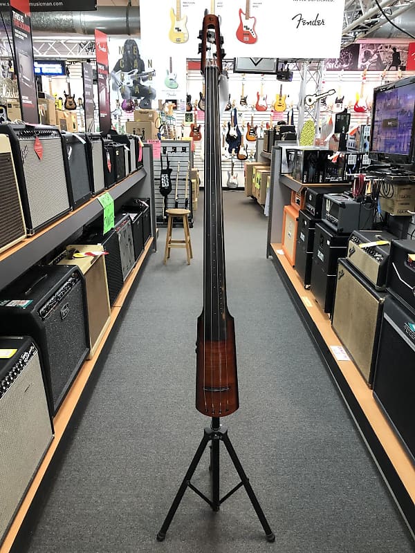 NS Design NXTa 4 String Upright Bass with Bag and Stand, | Reverb