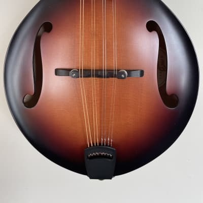 Randolin M2-WV 2018 cherry | Reverb