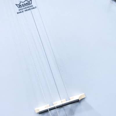 Cort CB-34 Tenor Banjo Bluegrass 4-String Resonator Banjo | Reverb