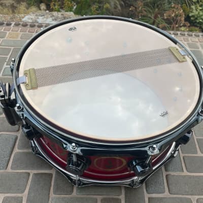 DW Collector's Series "Snakes and Arrows" Neil Peart Rush | Reverb