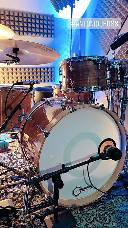 Antonio drums Solid walnut shell | Reverb