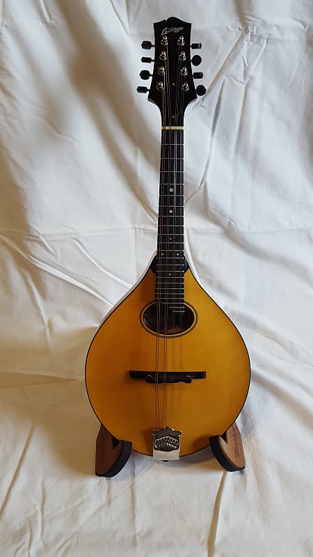 Collins Mandolin MTO 2019 Gloss/Blonde | Reverb