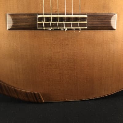 2010 David Pace "Double Top" Classical Guitar | Reverb