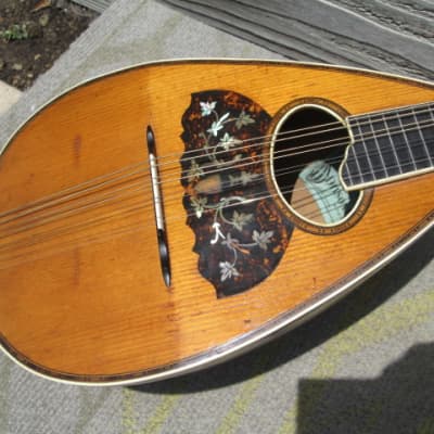 Ditson Victory Mandolin (Larson Bros.) | Reverb