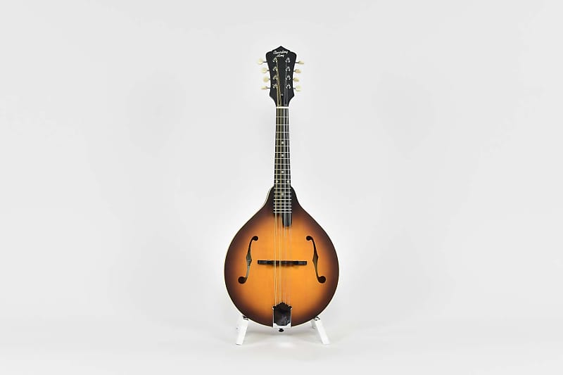 Recording King RAM-3TS Mandolin Occasion | Reverb