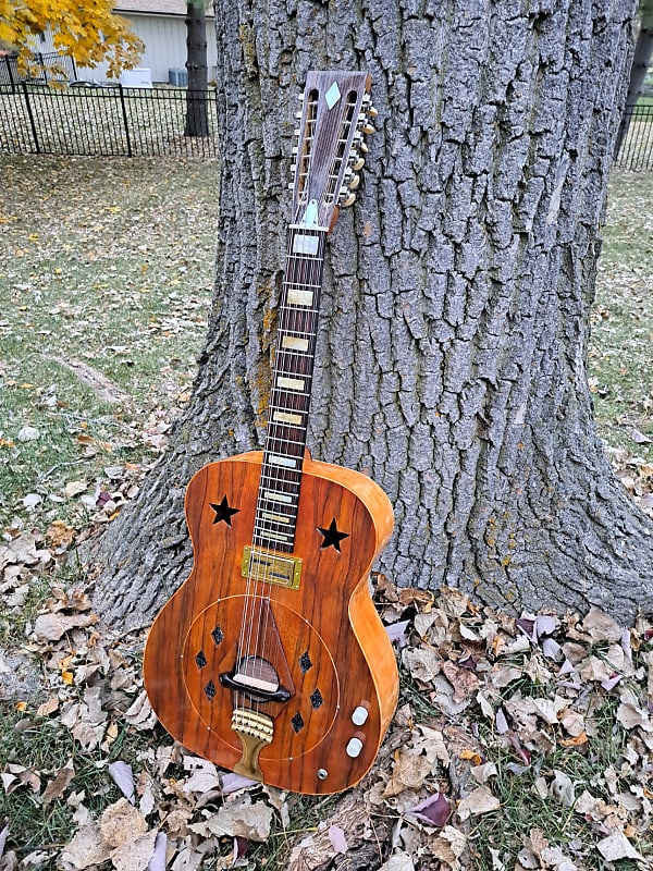 SteelBelly Stella 12-string Resonator Guitar | Reverb