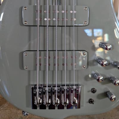 FBass BN5 Deluxe: NEW Sage Green Color! | Reverb