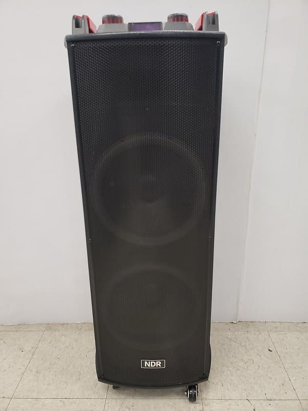 NDR DJ Speaker System | Reverb Canada