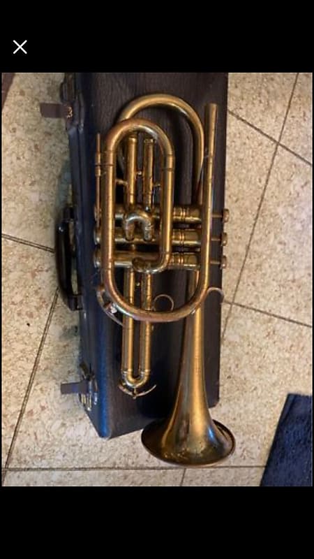 William Frank Cornet | Reverb