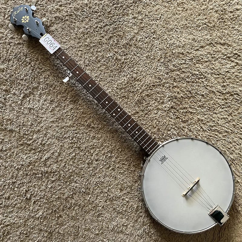 Rally 5 String Banjo, 11'Open Bod, REMO Heads 22 Frets | Reverb Canada