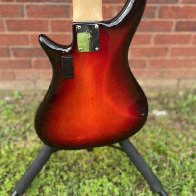 Pedulla Rapture 5 String Bass Guitar | Reverb