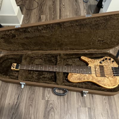 Camazon Explorer 2022 - Poplar Burl Headless 5 String Bass | Reverb
