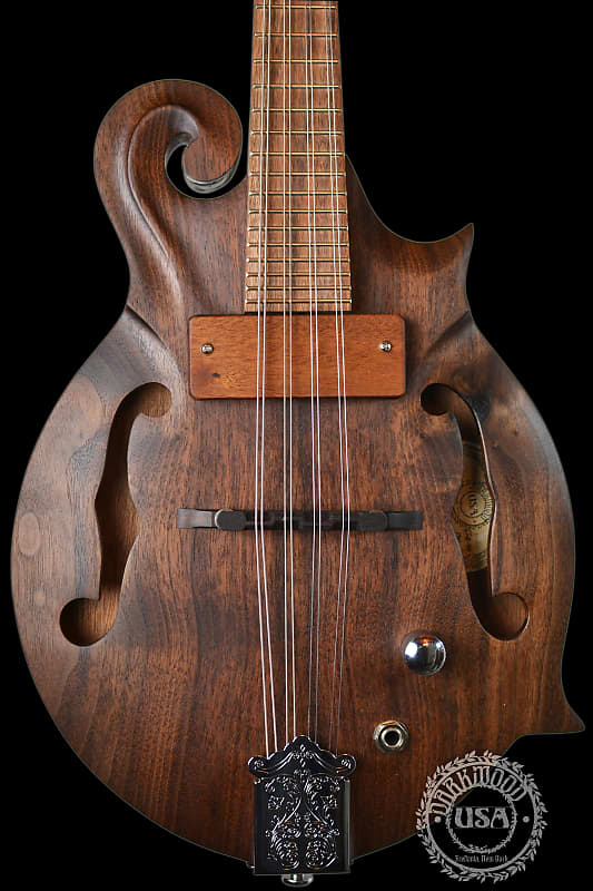 Darkwood USA - F Style Electric Mandolin - Semi Hollow - Made | Reverb