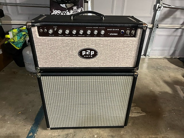 P2P Bad Dawg Amp Combo w/extras | Reverb