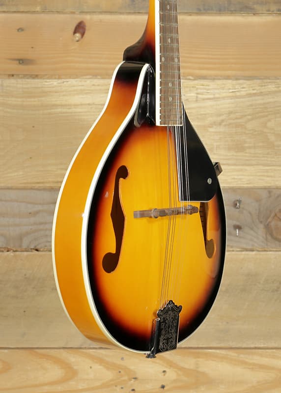 Rogue Mandolin RM100-A "Excellent Condition" | Reverb