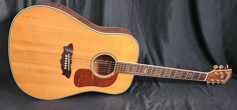 Washburn DM2000S Millenium Limited Edition Acoustic Solid | Reverb