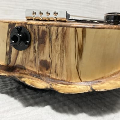 Turtle Shell Electric Tenor Guitar- mango top | Reverb