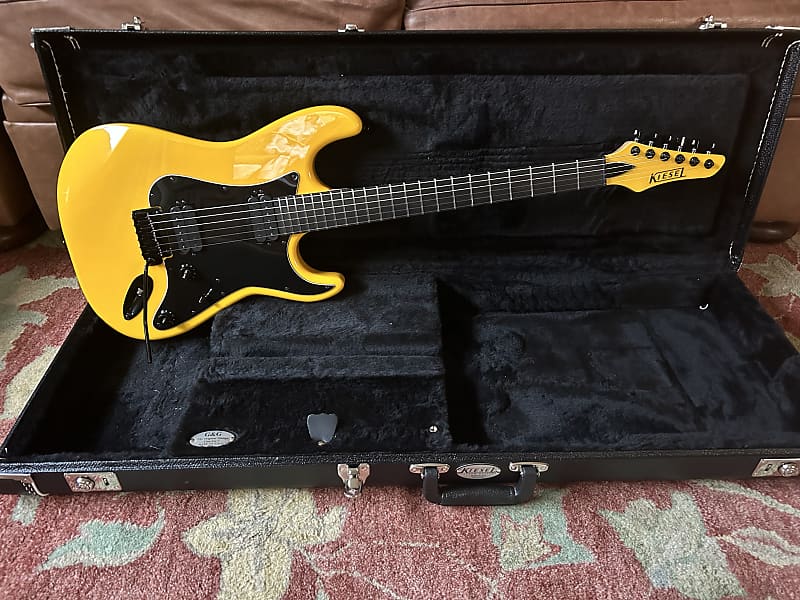 Kiesel Delos Mint Stainless Steel Frets Made In The USA | Reverb