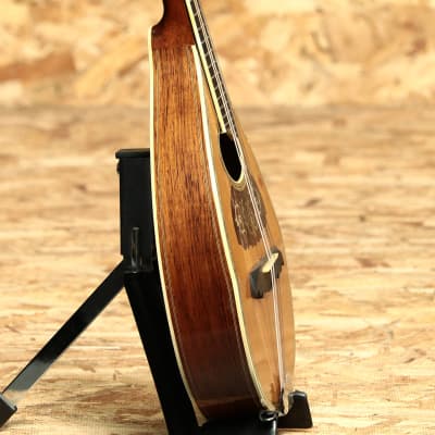 Wurlitzer(Larson Brothers) Mandolin Ca.1920's | Reverb